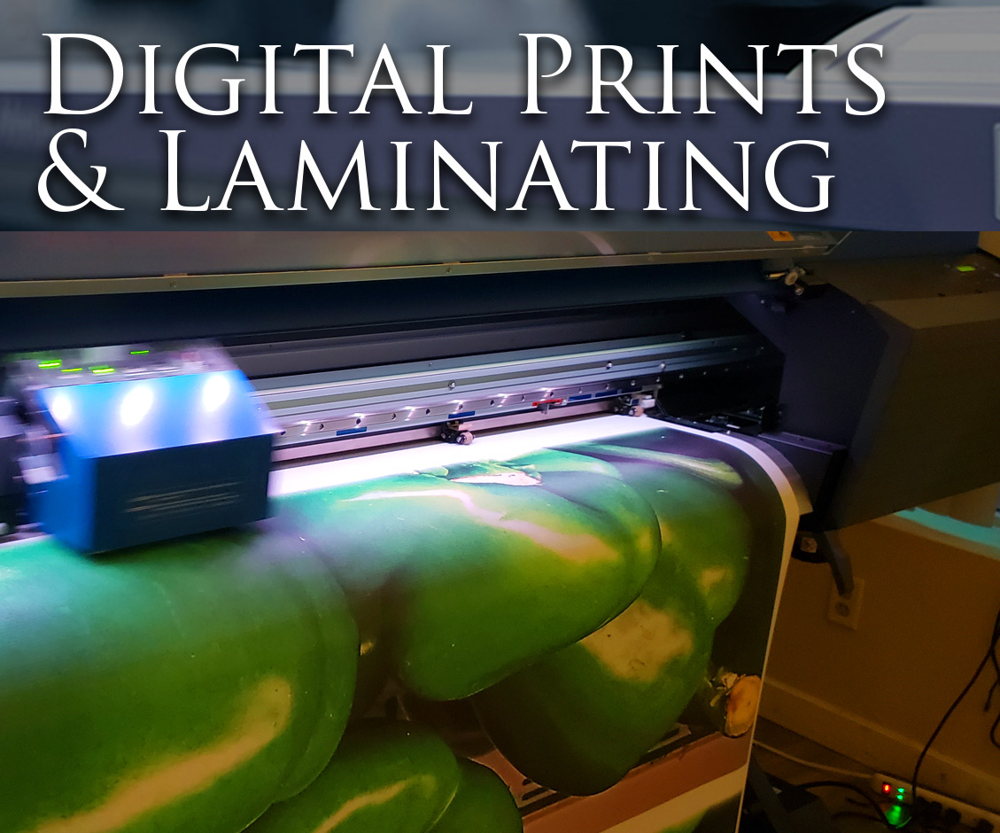 Digital & Large Format Prints - WISHWORKS PROFESSIONAL DESIGNS